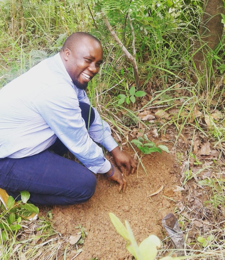 This year so far - Temwa