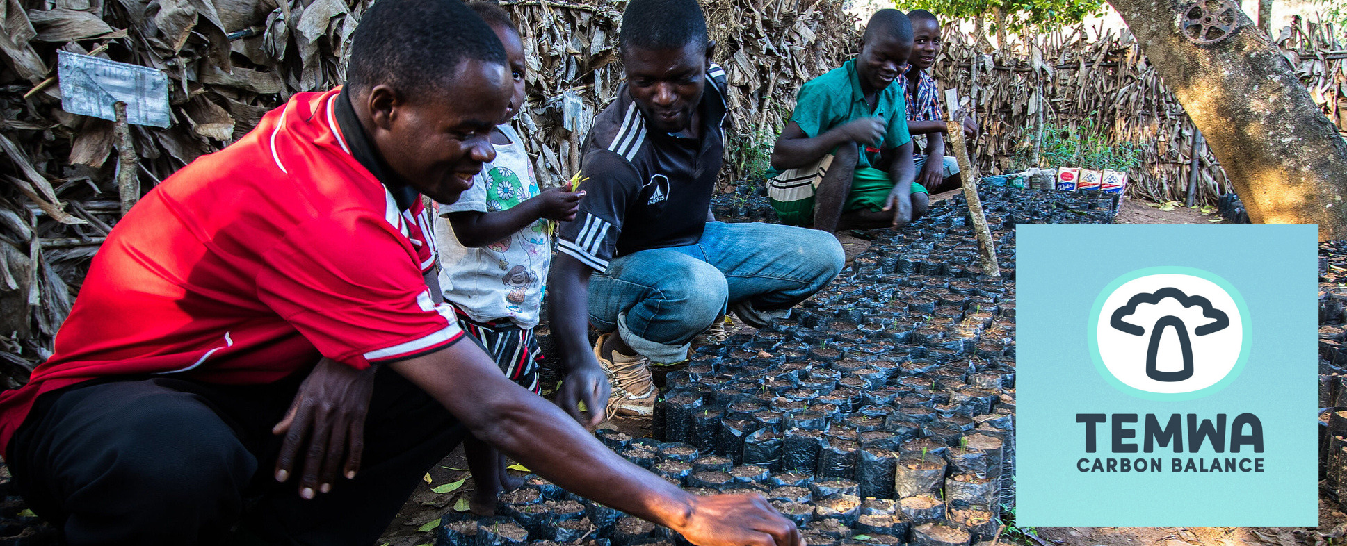 temwa-carbon-balance-web-banner-for-main-site-homepage-with-logo- Temwa
