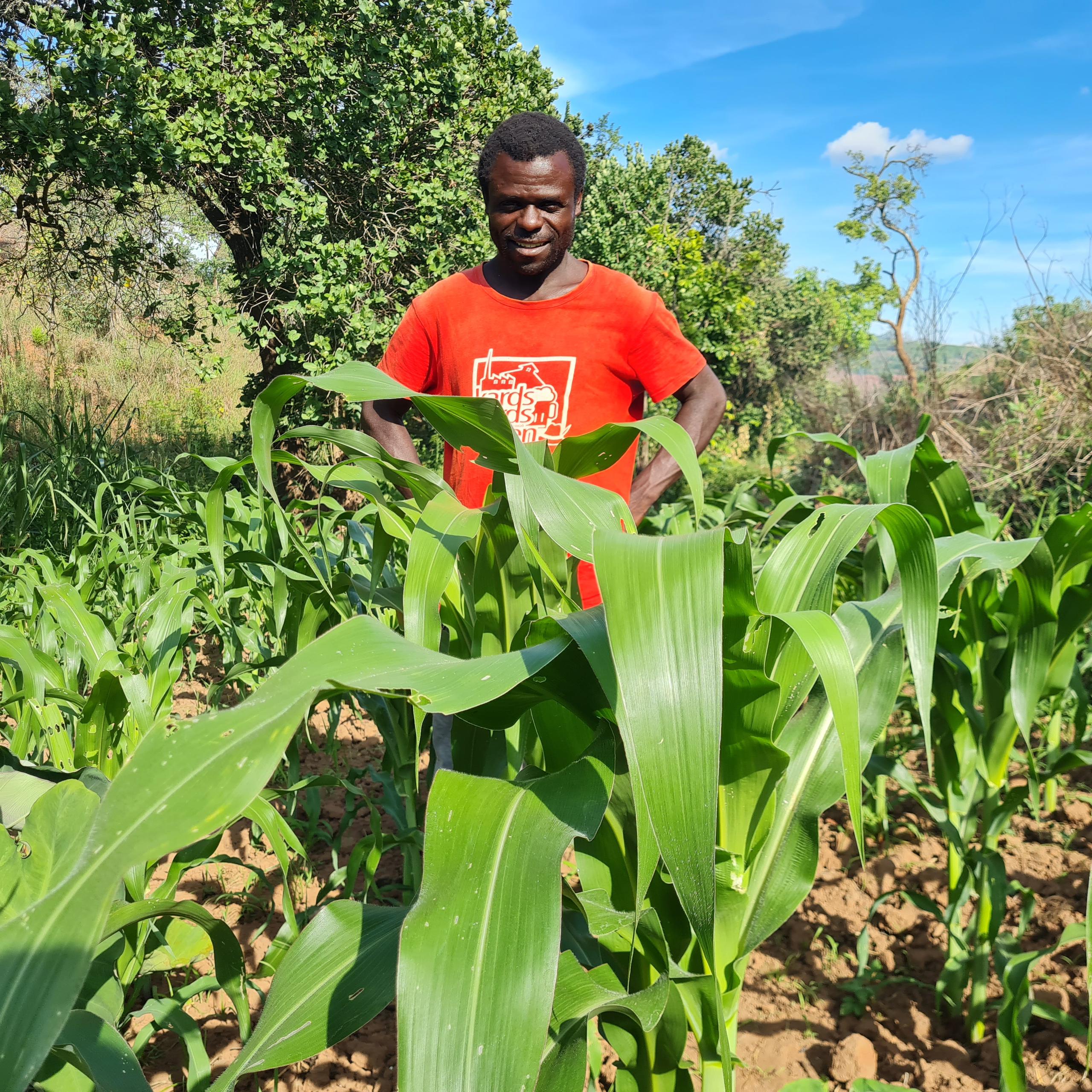 Tryson Mbale and Ensuring Independence Through Sustainable Farming ...