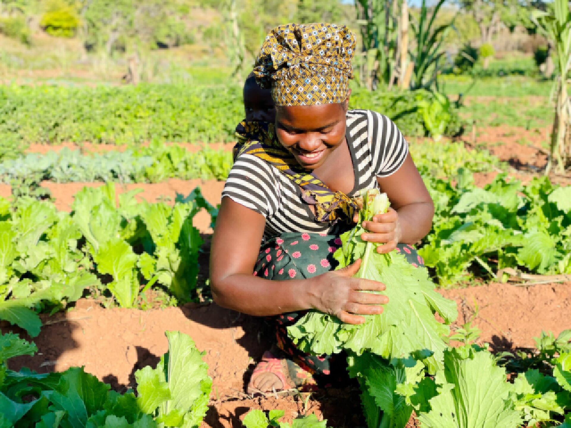 A 20-Year Journey: Temwa's Achievements and the Road Ahead - Temwa