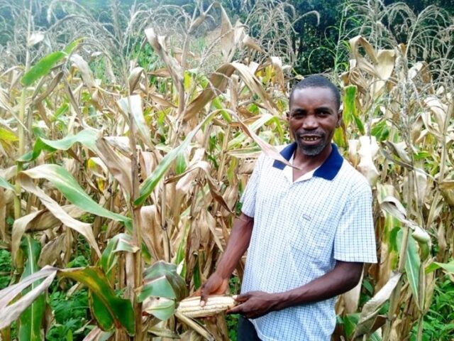 Patrick Phiri and Building a Sustainable Future in Agriculture - Temwa